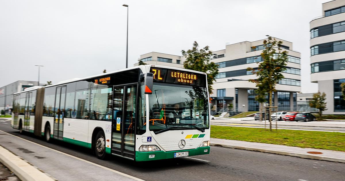 Drama na LPP: Avtobus trčil v drevo - Žurnal24