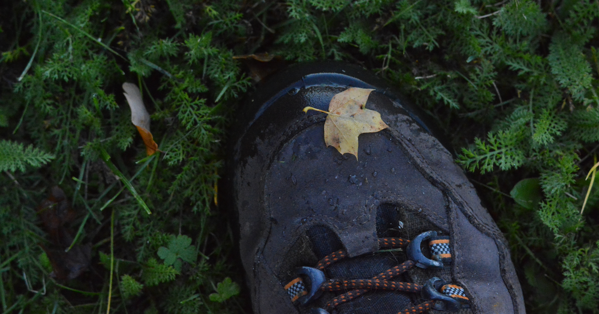 3 najboljši gozdarski čevlji v letu 2026 - Žurnal24