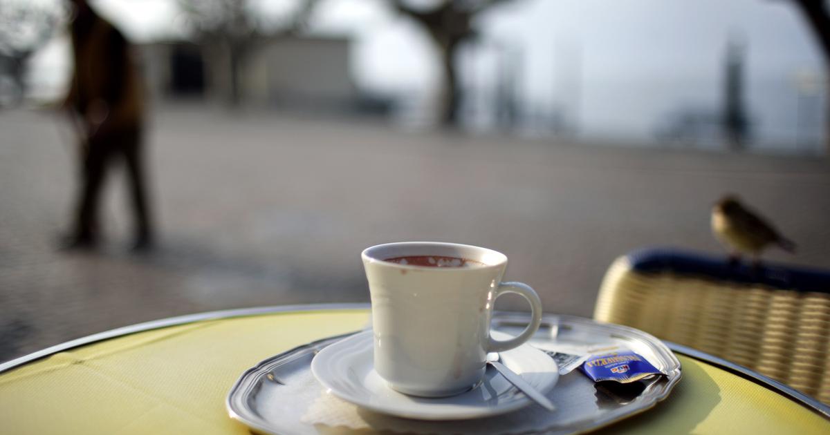 V teh devet slovenskih mest pride kavarna zelene prihodnosti - Žurnal24