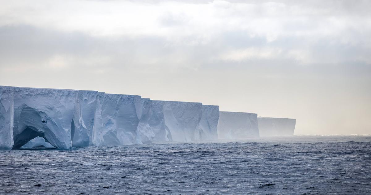 Največja ledena gora na svetu razpada pred očmi znanstvenikov - Žurnal24