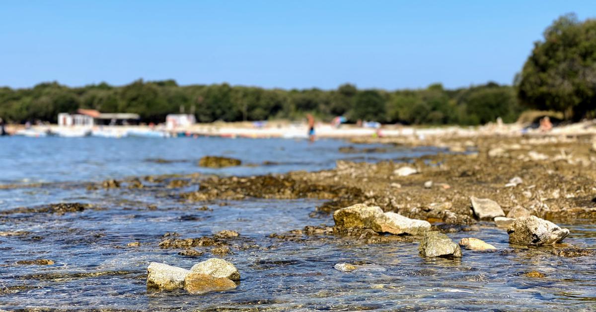 Poskus reševanja se je končal s smrtjo očeta in dveh sinov - Žurnal24