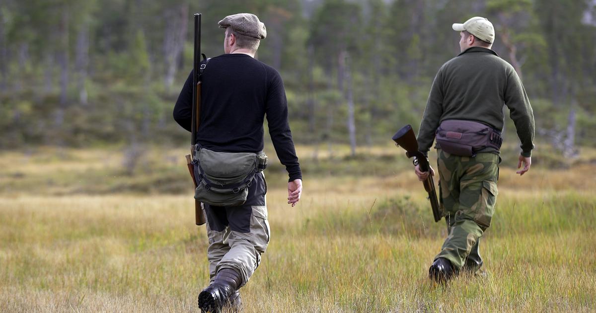 Na Primorskem je lovec ustrelil lovca - Žurnal24