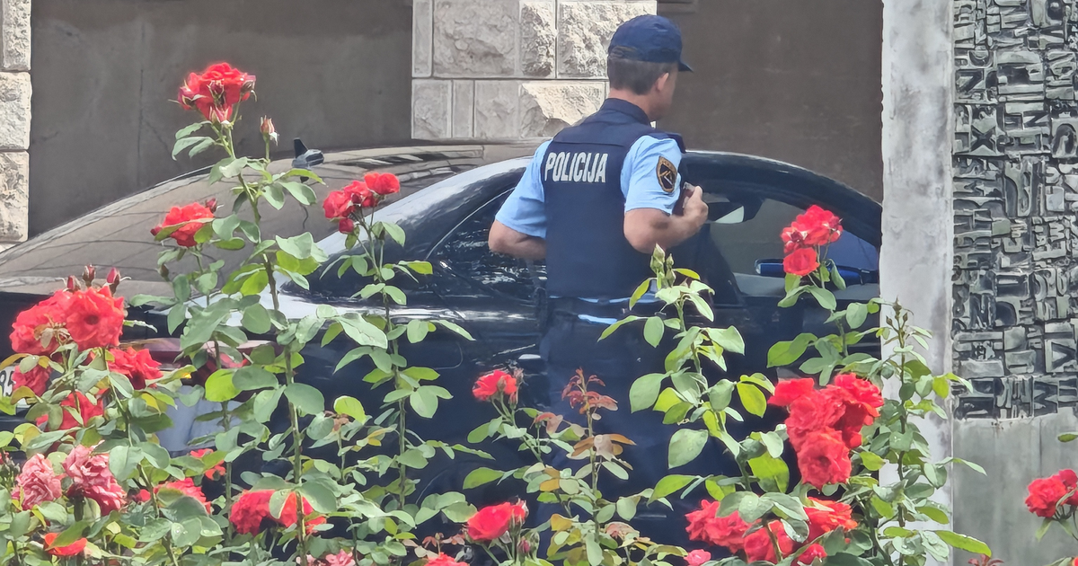 Novo pooblastilo za policiste, lahko vam bodo odklopili elektriko ...